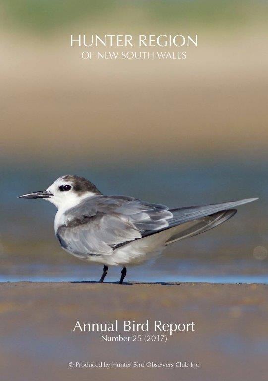 Annual Bird Report – Hunter Bird Observers Club